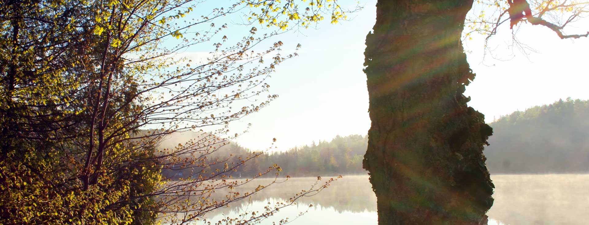 Municipalité La Minerve - Site web officiel de La Minerve